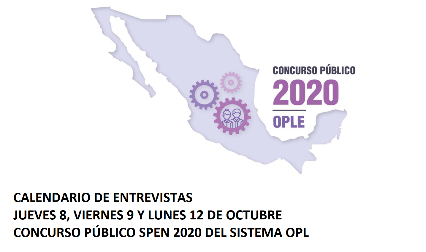 Instituto Electoral del Estado - Puebla